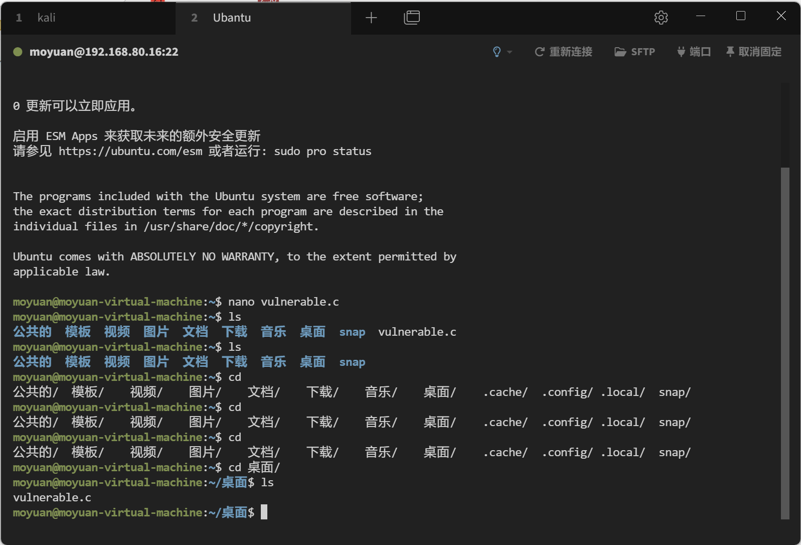 实验报告：缓冲区溢出攻击的实现过程 | Moyuan"s website