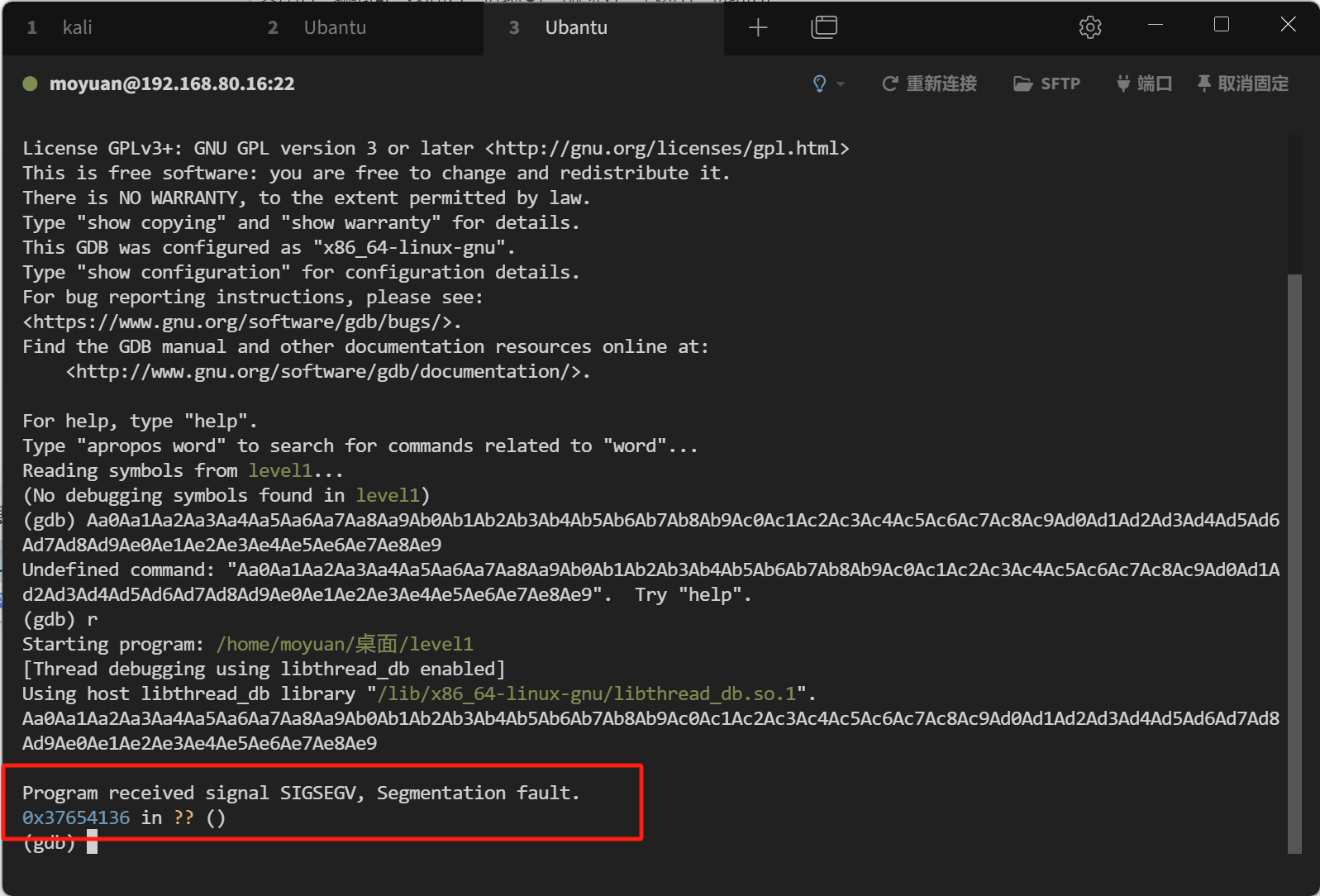 实验报告：缓冲区溢出攻击的实现过程 | Moyuan"s website