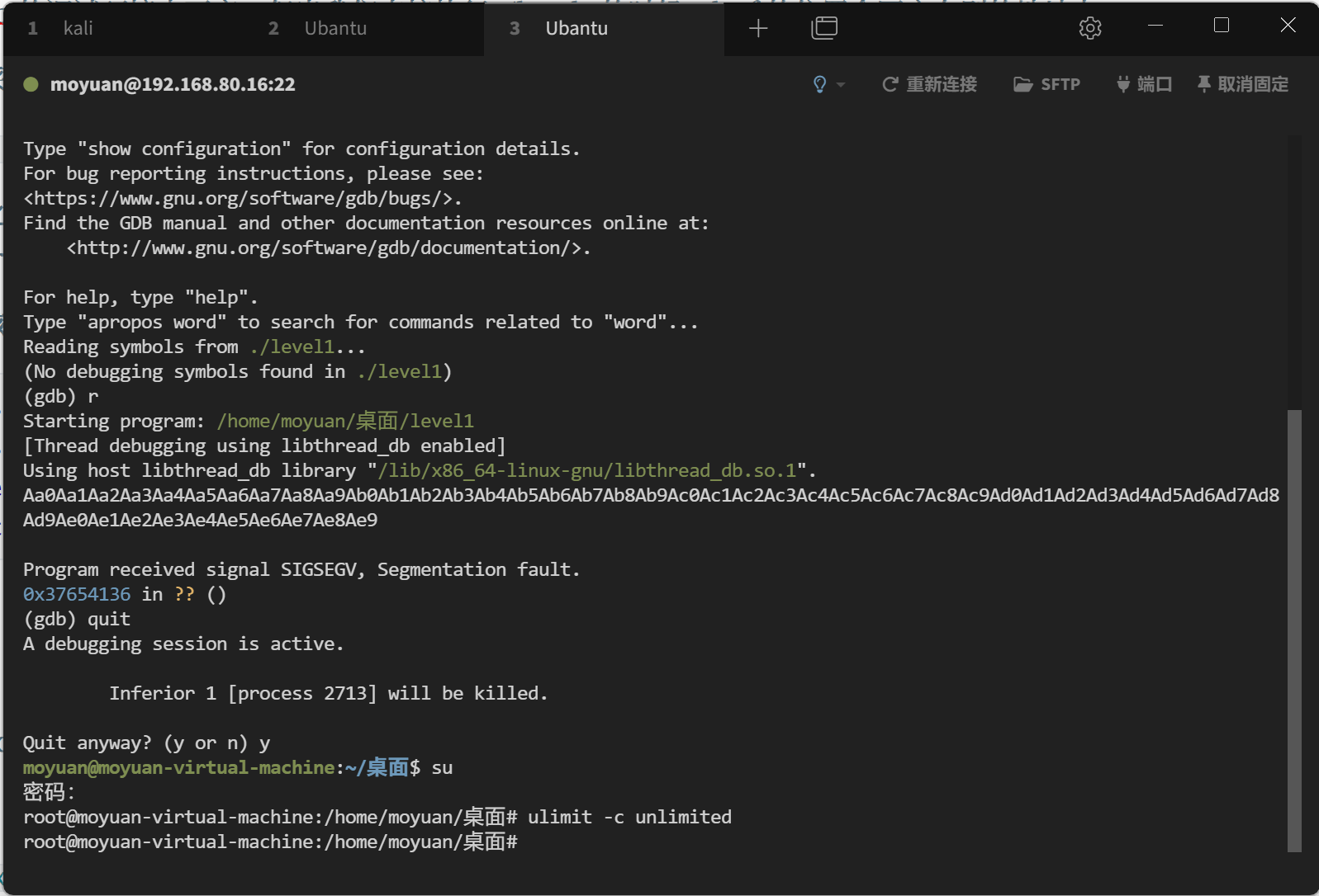 实验报告：缓冲区溢出攻击的实现过程 | Moyuan"s website