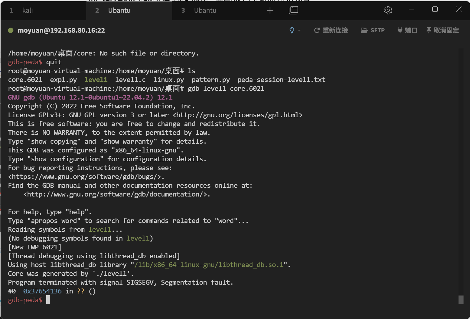 实验报告：缓冲区溢出攻击的实现过程 | Moyuan"s website