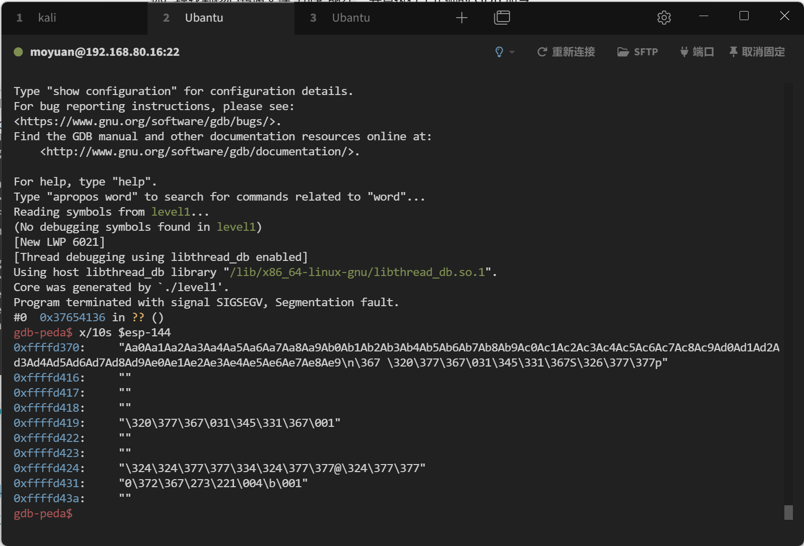实验报告：缓冲区溢出攻击的实现过程 | Moyuan"s website