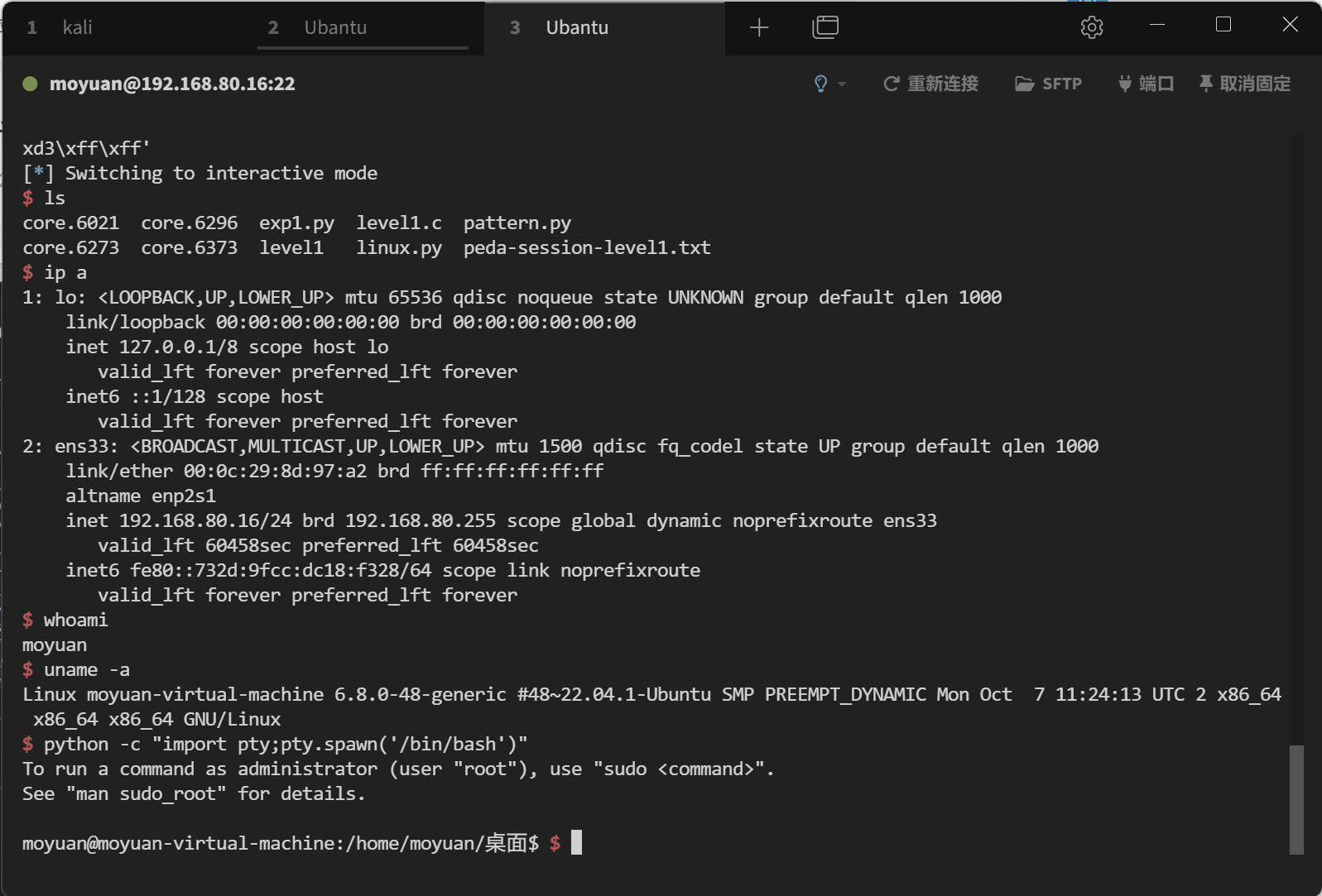 实验报告：缓冲区溢出攻击的实现过程 | Moyuan"s website